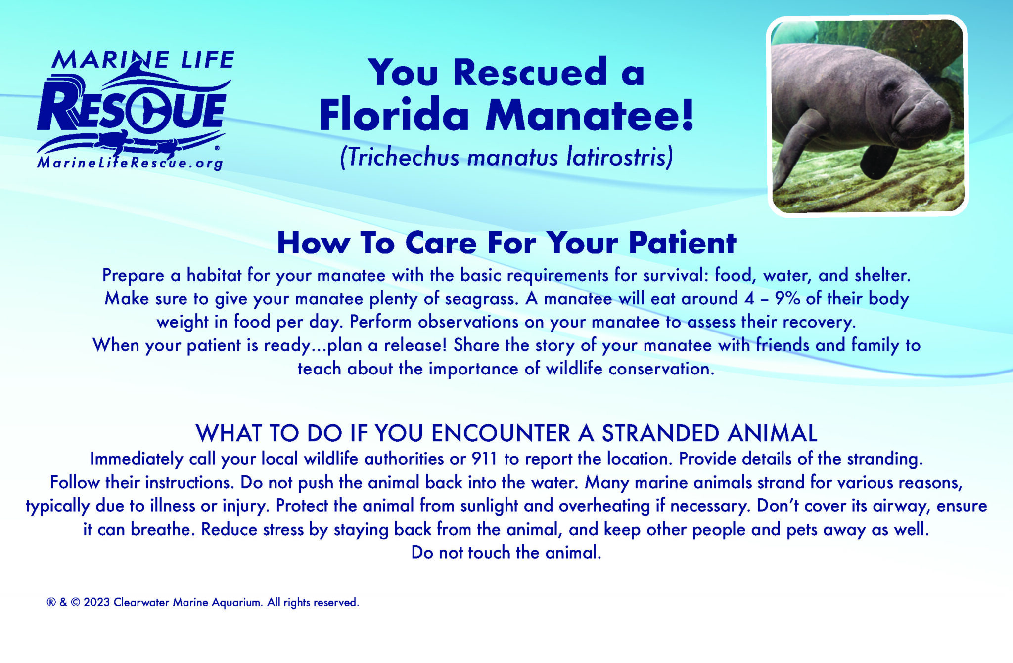 Manatee Plush with Rescue Stretcher - Store - Marine Life Rescue Project™